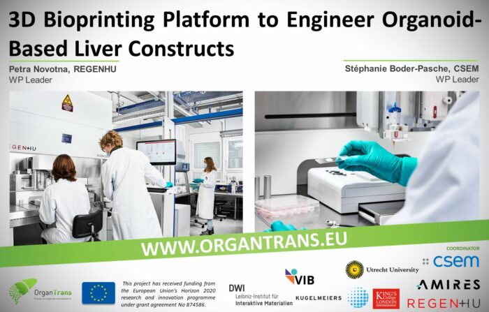 3D Bioprinting Platform to Engineer Organoid-based Liver Constructs ...